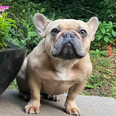 About Us – SDV Office Systems, LLC